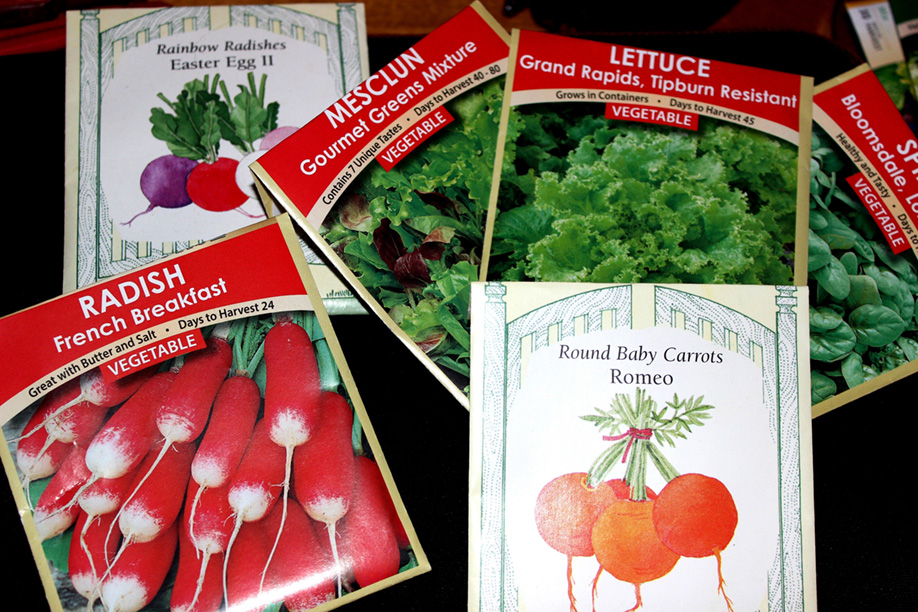 Growing Greens in Winter - The Hardwick Gazette